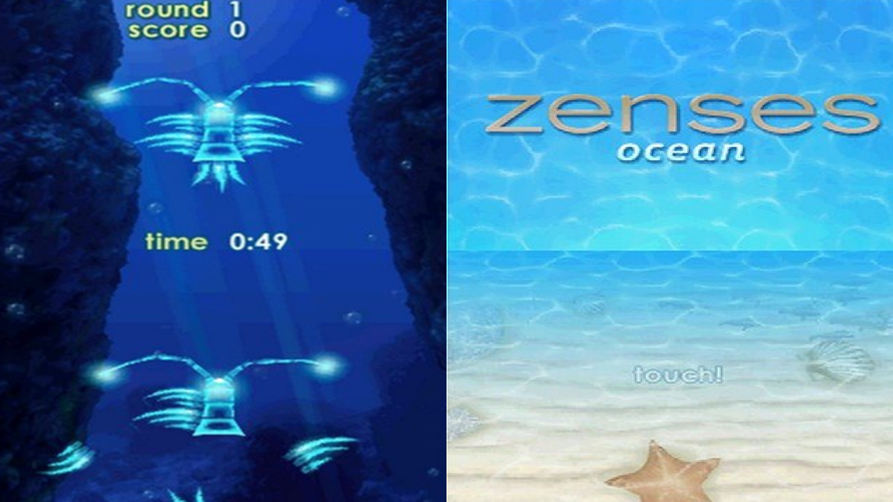 Joc Zenses Ocean pentru Nintendo DS
